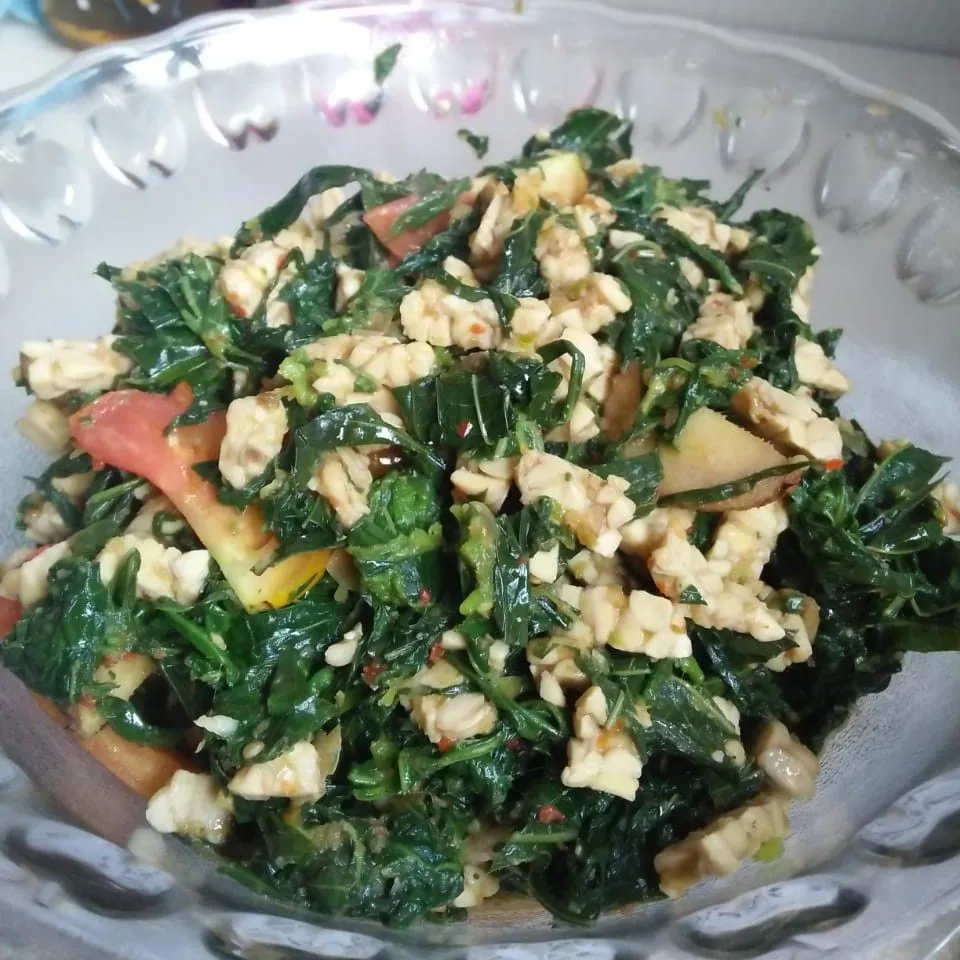 Resep Oseng Tempe Daun Singkong Sederhana Rumahan di Yummy App Resep Oseng Tempe Daun Singkong Sederhana Rumahan di Yummy App