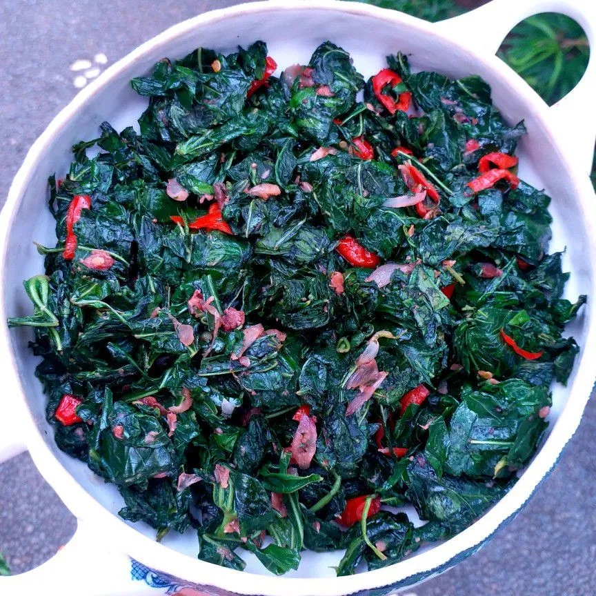 Resep Tumis Daun Singkong Terasi Sederhana Rumahan di Yummy App Resep Tumis Daun Singkong Terasi Sederhana Rumahan di Yummy App