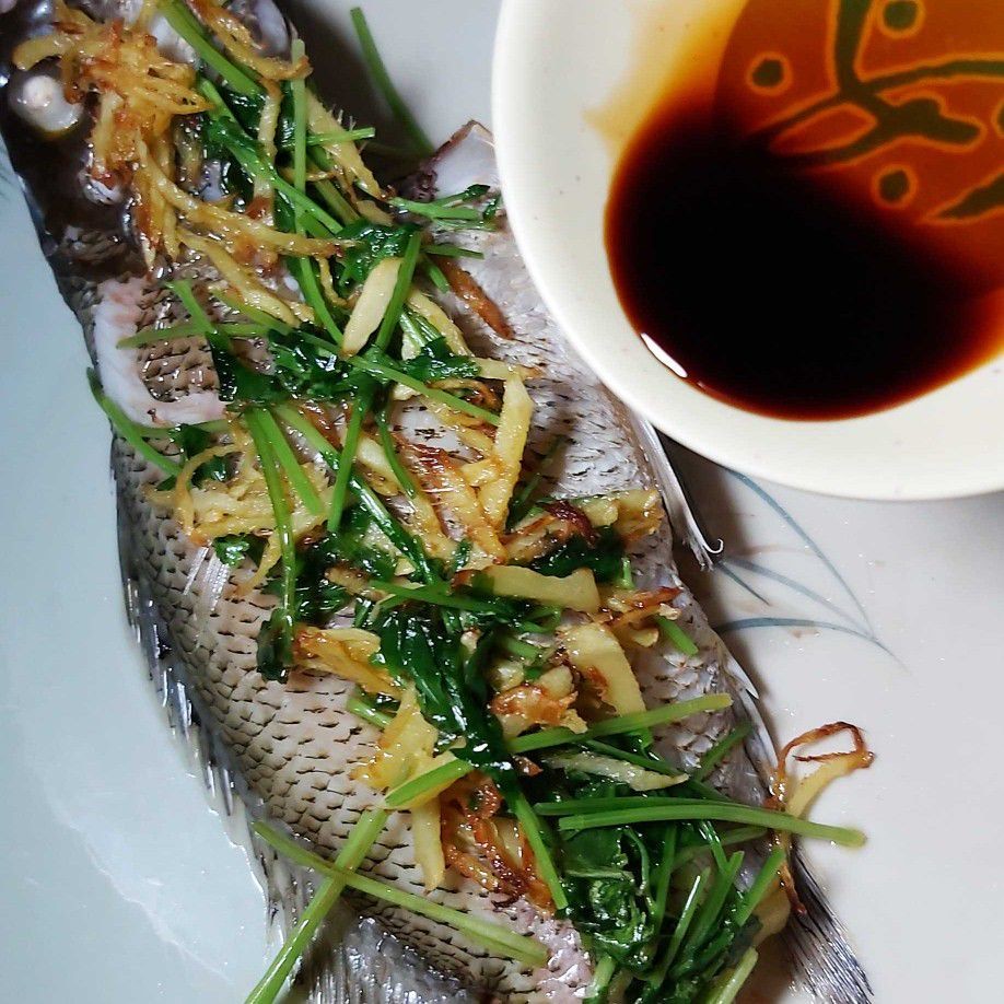 Resep Steam Ikan Kakap Putih Sederhana Rumahan di Yummy App