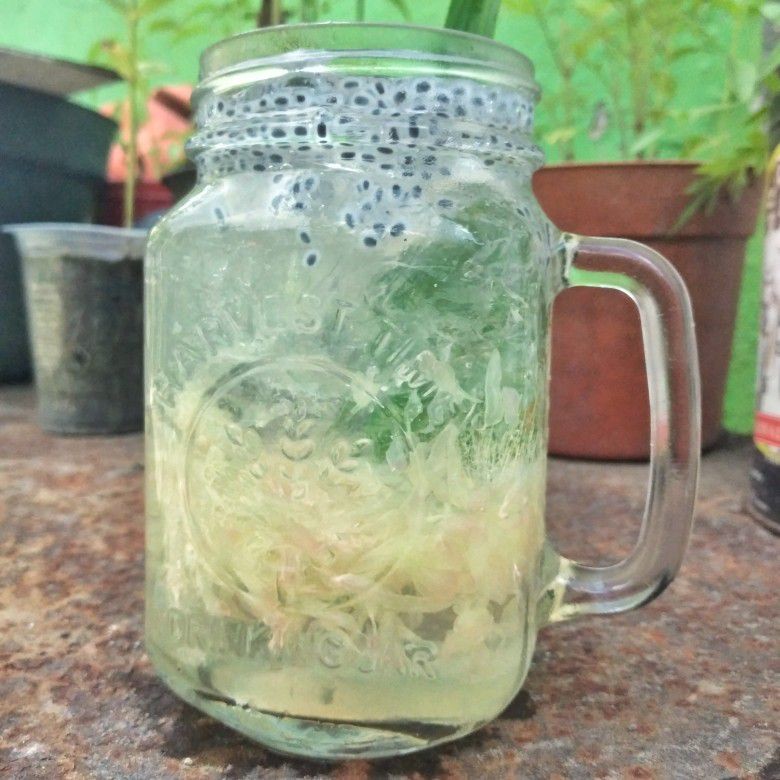 Resep Es Gula Selasih #JagoMasakMinggu1Periode2 Sederhana Rumahan di ...