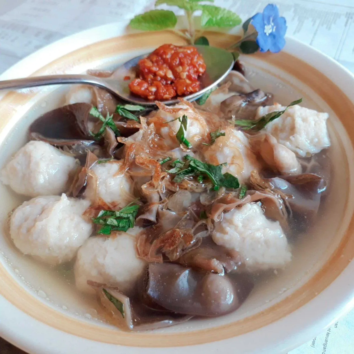 Resep Bakso Kuah Jamur Sederhana Rumahan di Yummy App