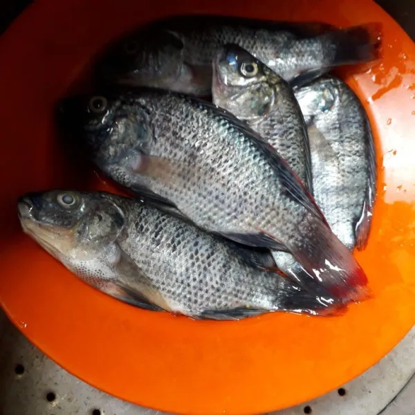 Resep Tim Ikan Nila Ala Hongkong #JagoMasakMinggu8Periode2 Sederhana ...