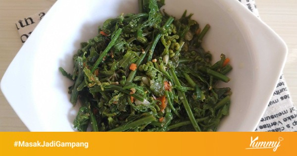 Resep Tumis Pakis Ketumbar Pedas Sederhana Rumahan Di Yummy App