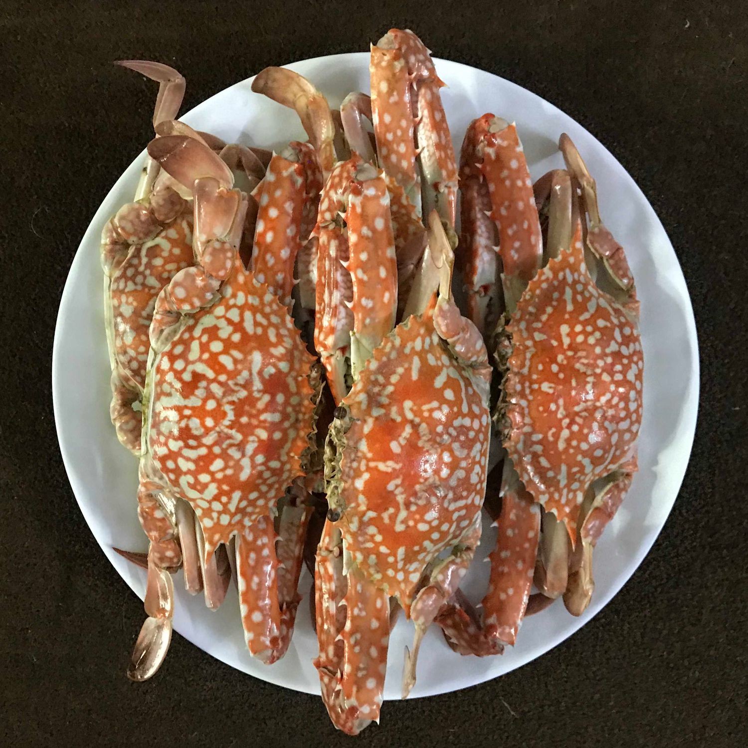 Resep Rajungan Santan Bumbu Merah Sederhana Rumahan di Yummy App