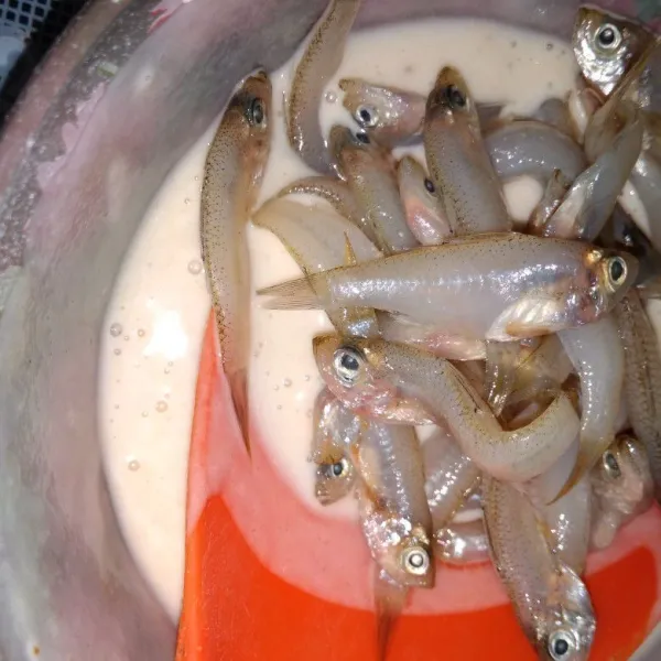 Resep Ikan Wader Goreng Sederhana Rumahan di Yummy App Resep Ikan Wader Goreng Sederhana Rumahan di Yummy App