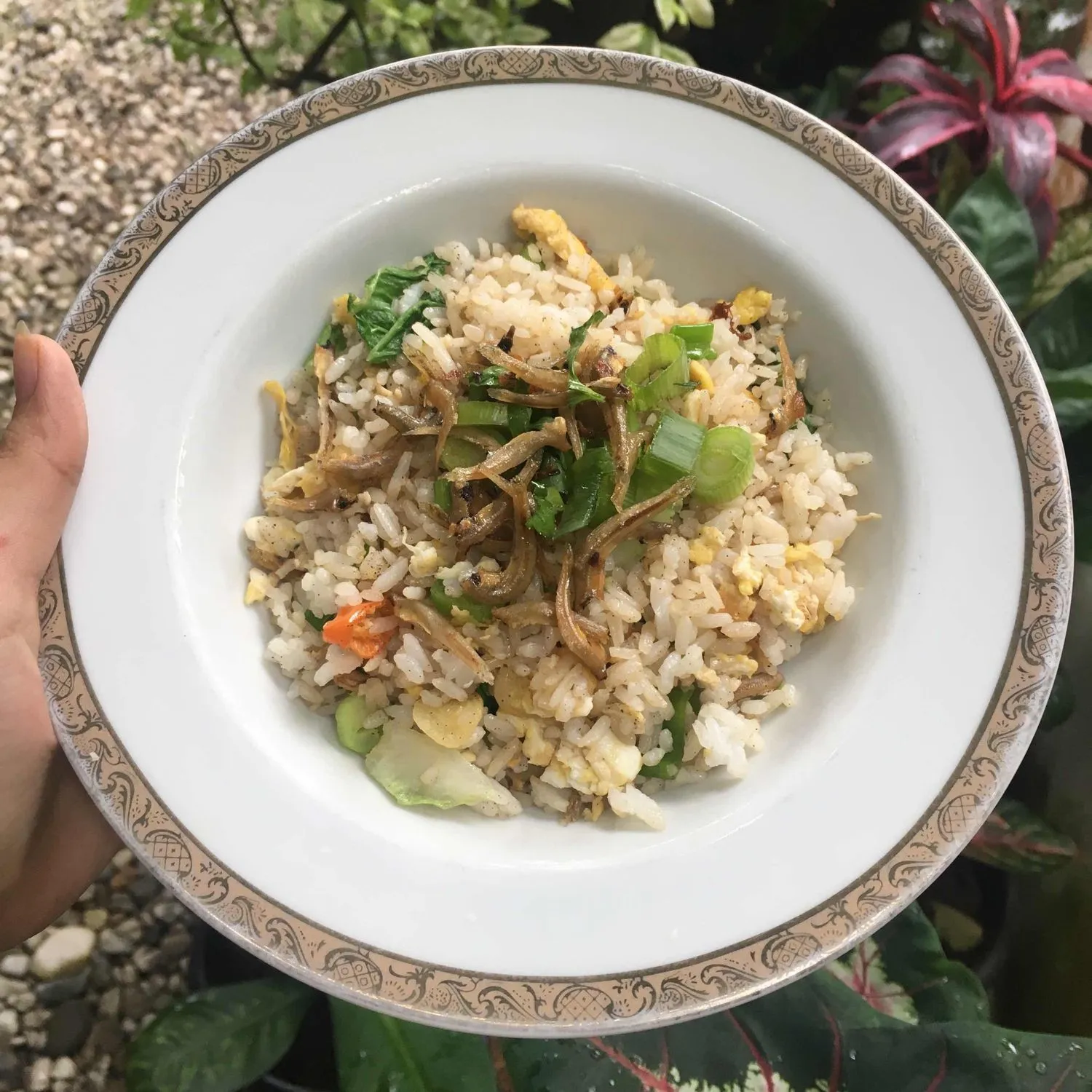 Resep Nasi Goreng ala Chinese Resto Sederhana Rumahan di Yummy App