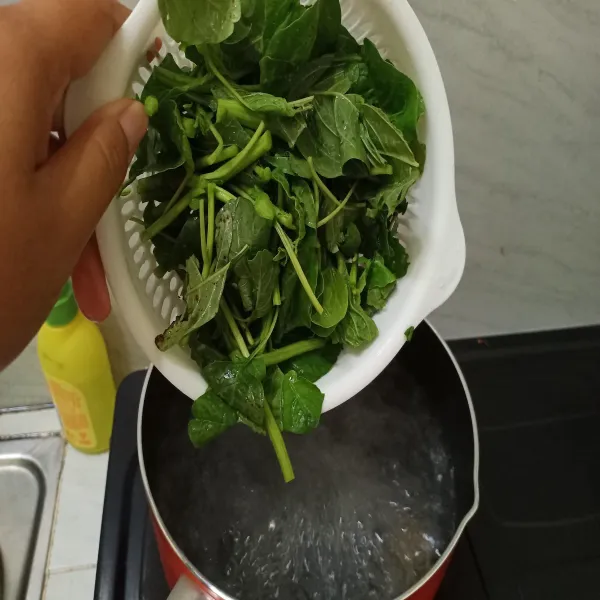 Resep Bening Bayam Sederhana Rumahan di Yummy App