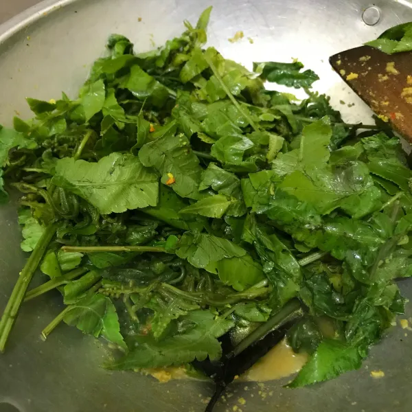 Resep Sayur Pakis Kuah Santan Pedas Sederhana Rumahan Di Yummy App