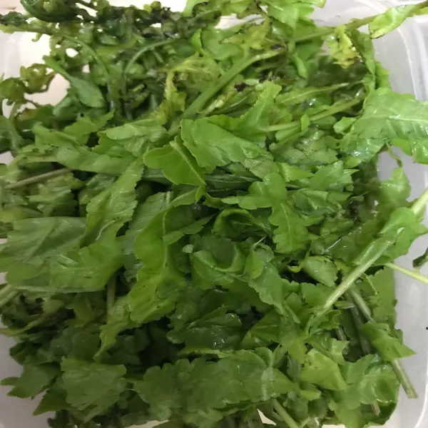 Resep Sayur Pakis Kuah Santan Pedas Sederhana Rumahan Di Yummy App