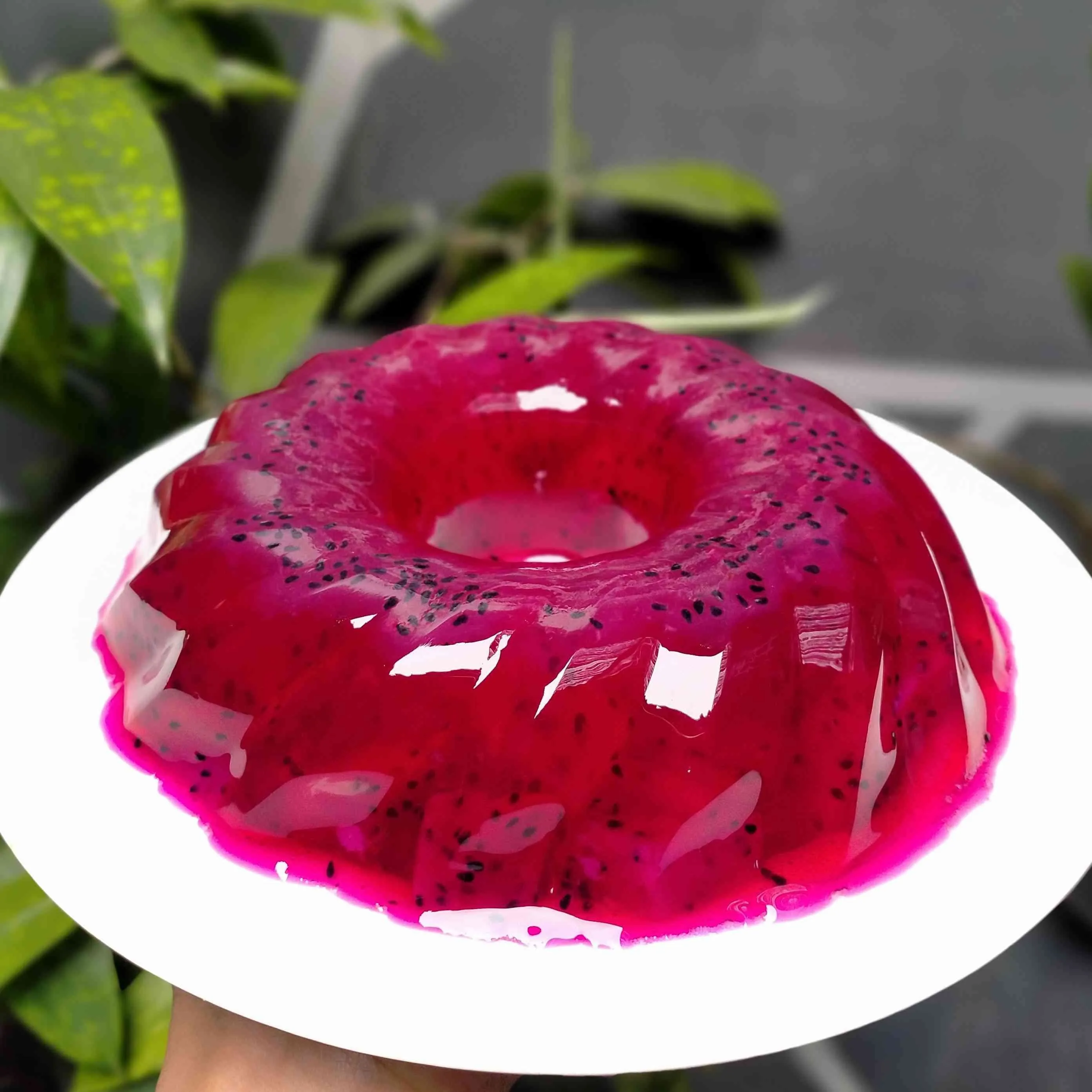 Resep Pudding Susu Buah Naga Sederhana Rumahan di Yummy App Resep Pudding Susu Buah Naga Sederhana Rumahan di Yummy App