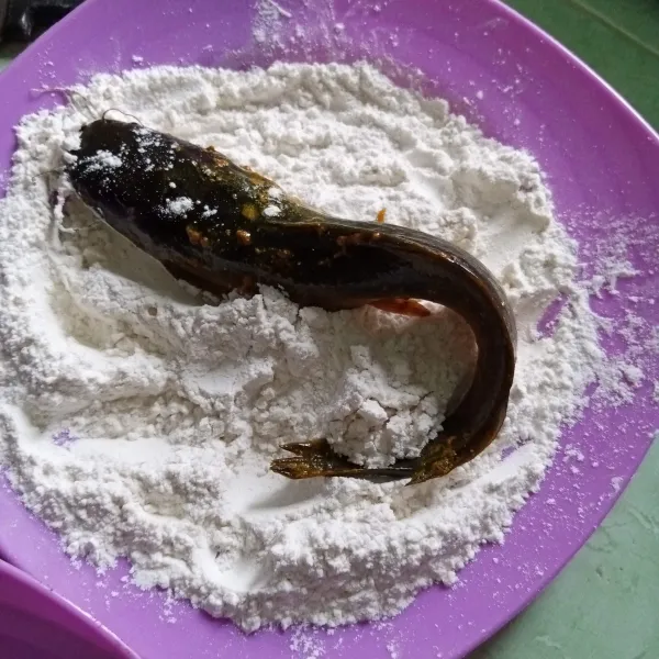 Resep Lele Goreng Tepung Sederhana Rumahan di Yummy App