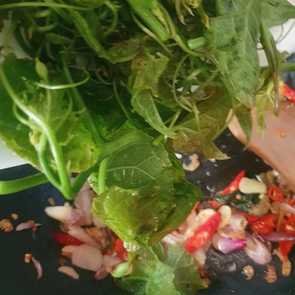 Resep Tumis Pucuk Labu Sederhana Rumahan Di Yummy App