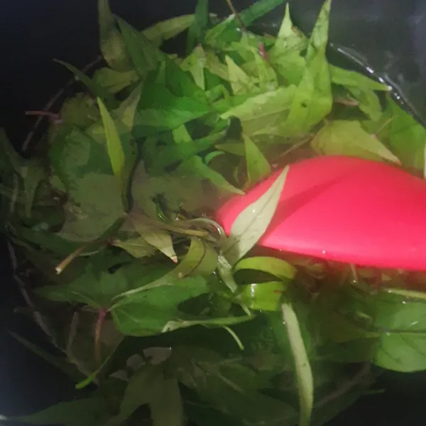 Resep Tumis Daun Ubi Ungu Sederhana Rumahan Di Yummy App
