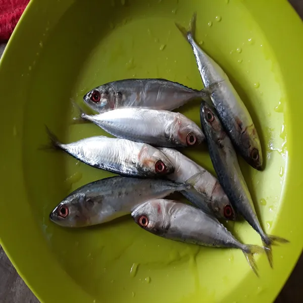 Resep Tumis Dencis Sederhana Rumahan di Yummy App