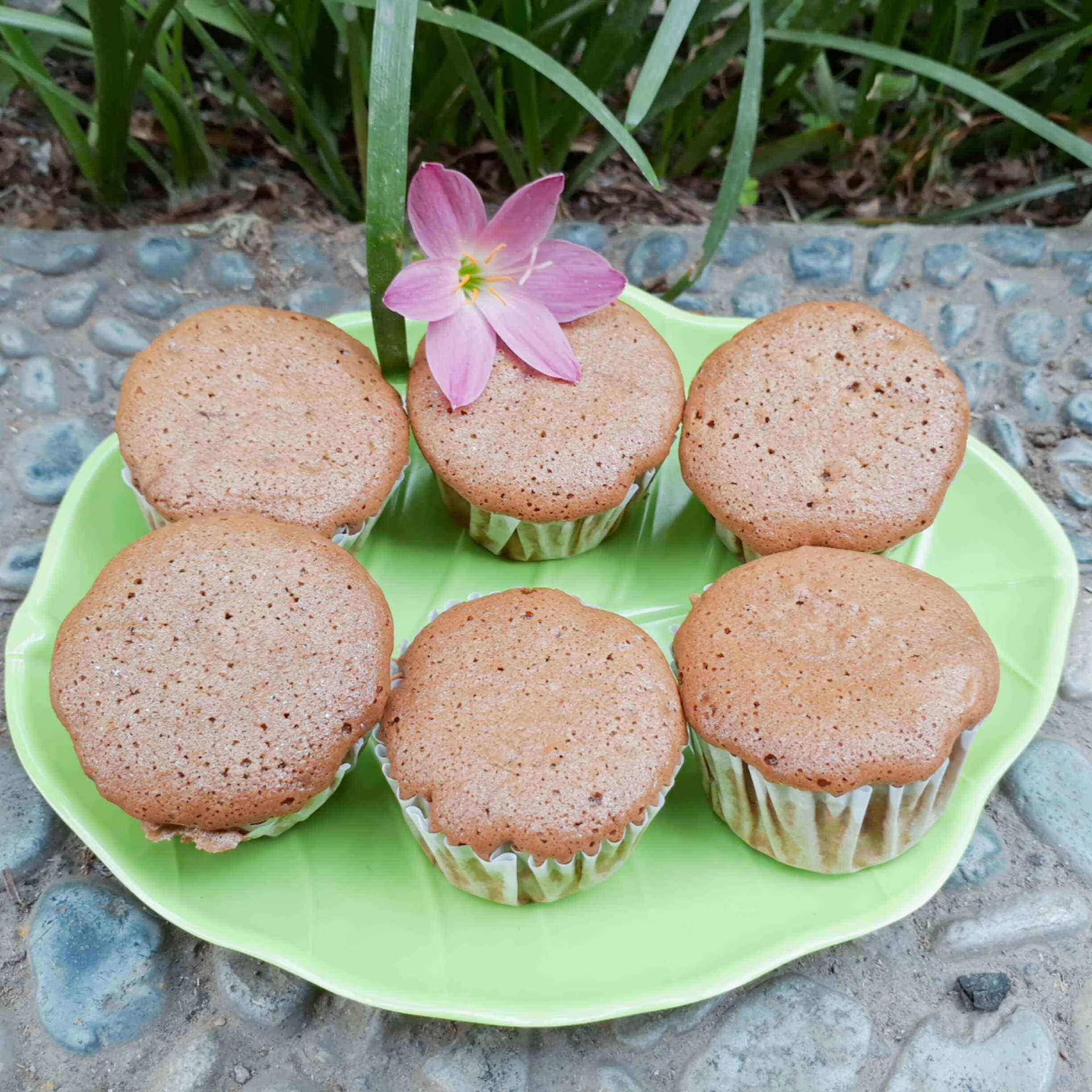 Resep Cup Cake Moka Sederhana Rumahan di Yummy App