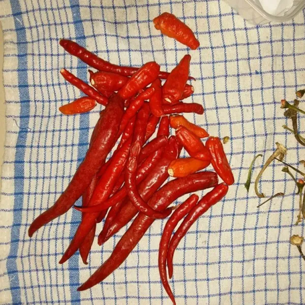 Resep Cara Menyimpan Cabe #TipsAndalan Sederhana Rumahan di Yummy App