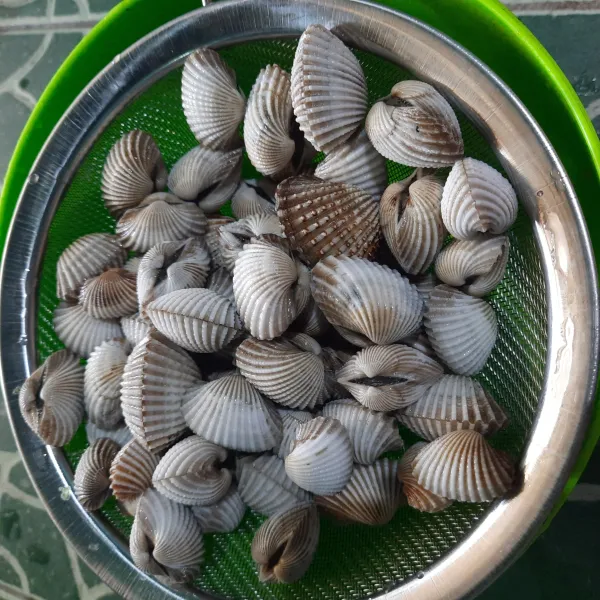 Cara Menyimpan Kerang di Kulkas Agar Awet dan Tidak Busuk