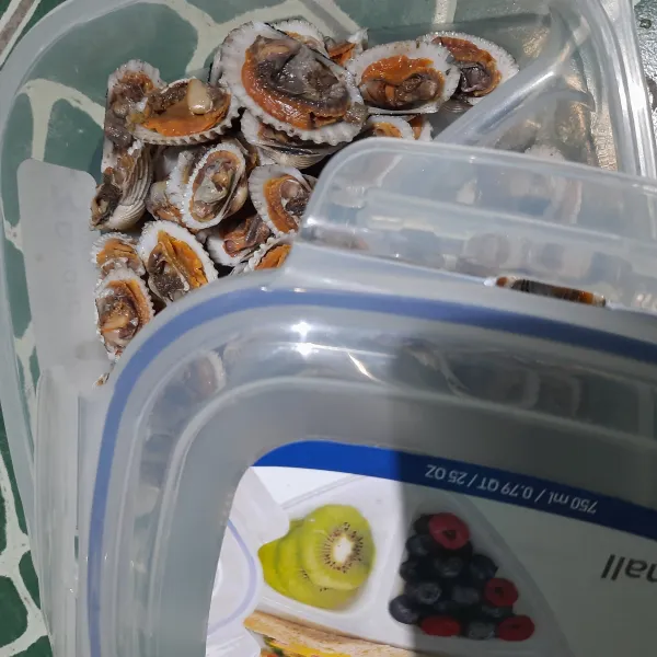 Cara Menyimpan Kerang di Kulkas Agar Awet dan Tidak Busuk