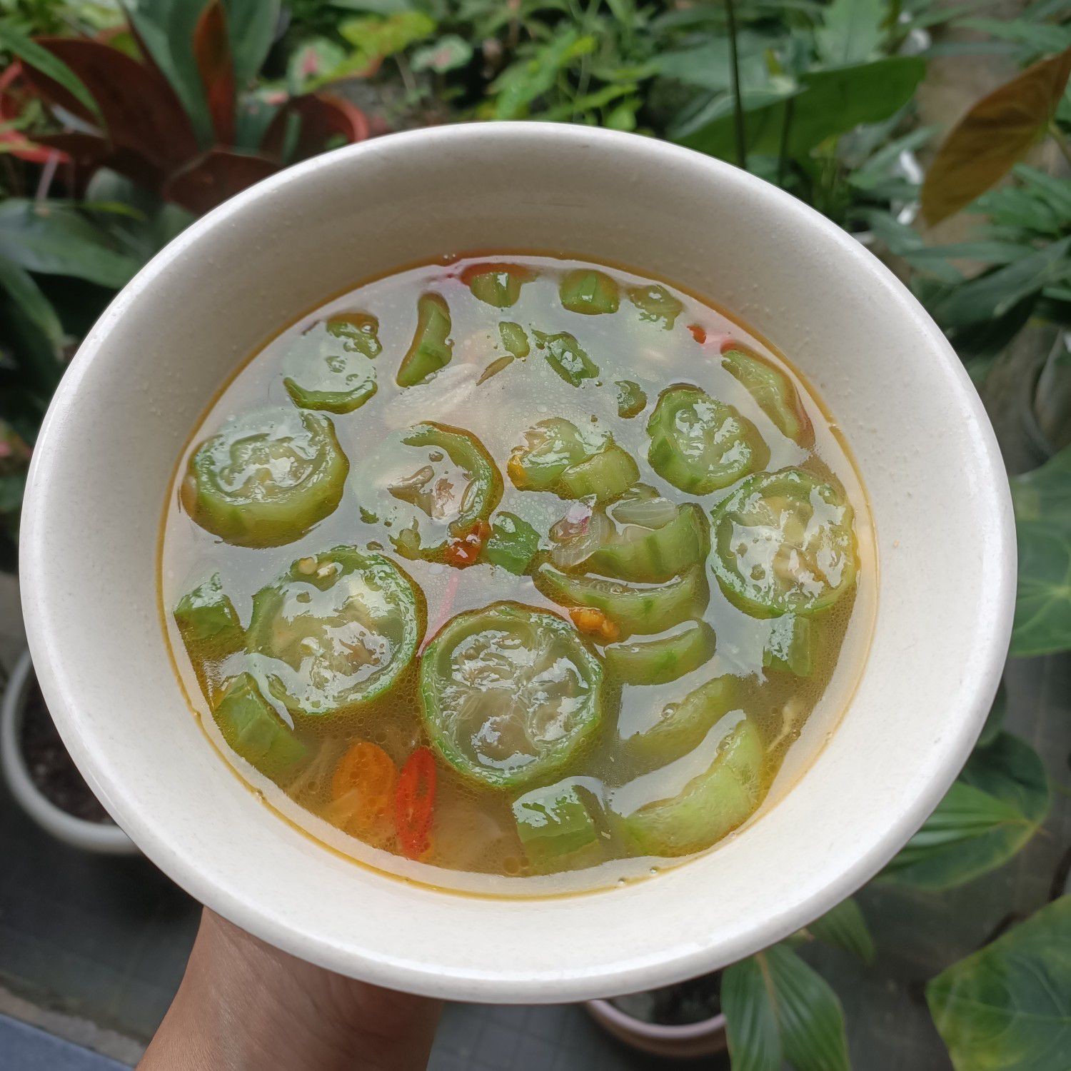 Resep Sayur Oyong Sederhana Rumahan Di Yummy App