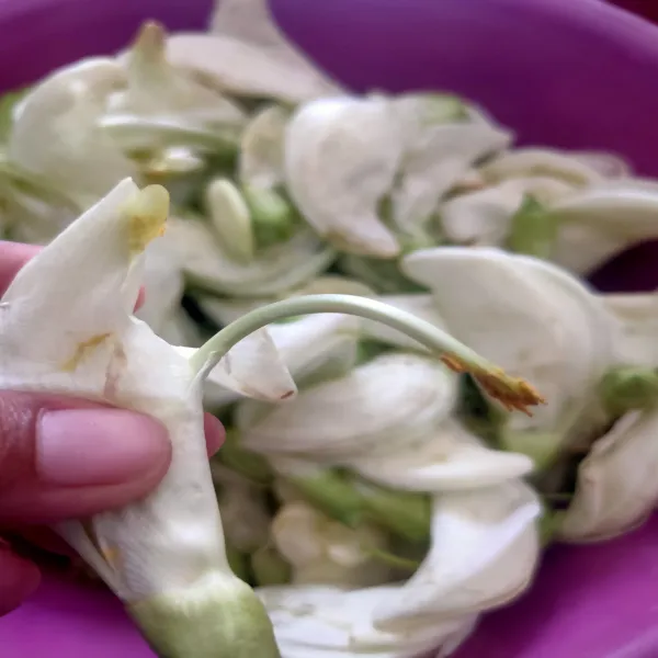 Resep Tumis Bunga Turi Sederhana Rumahan di Yummy App