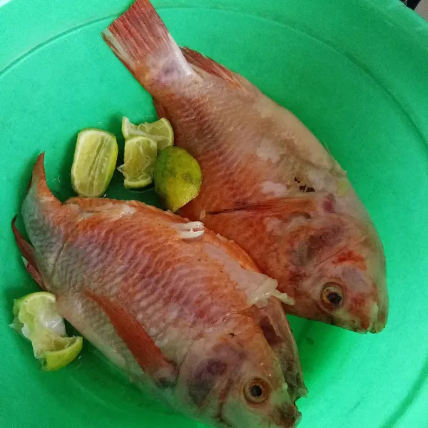 Resep Tim Ikan Nila Bumbu Nyonya #ImlekanDiYummy Sederhana Rumahan di ...