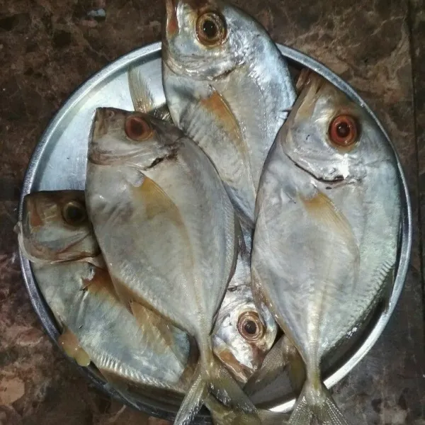 Resep Ikan Badong Bumbu Woku Sederhana Rumahan di Yummy App