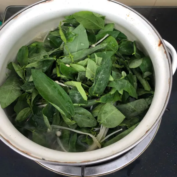 Resep Bening Enoki dan Daun Katu Sederhana Rumahan di Yummy App