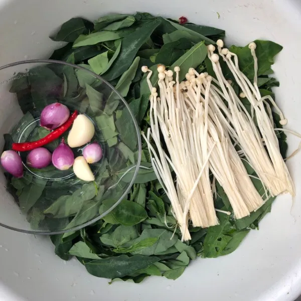 Resep Bening Enoki dan Daun Katu Sederhana Rumahan di Yummy App
