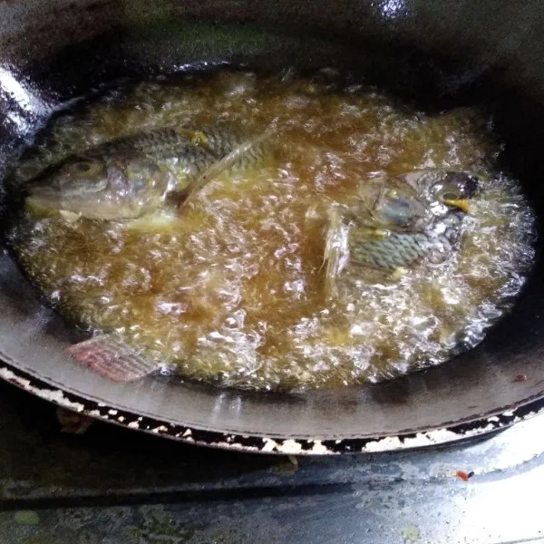 Resep Penyetan Mujaer Sederhana Rumahan di Yummy App