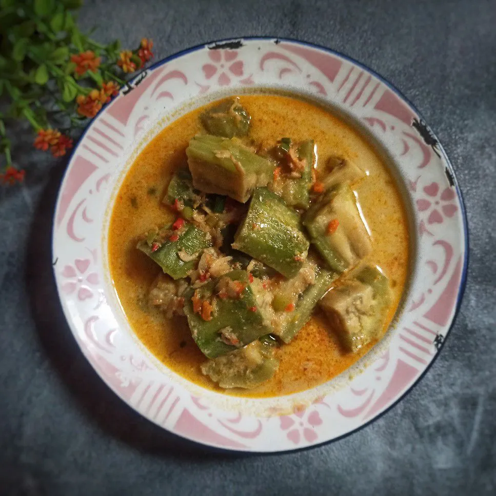Resep Lodeh Terong Udang Rebon Sederhana Rumahan Di Yummy App