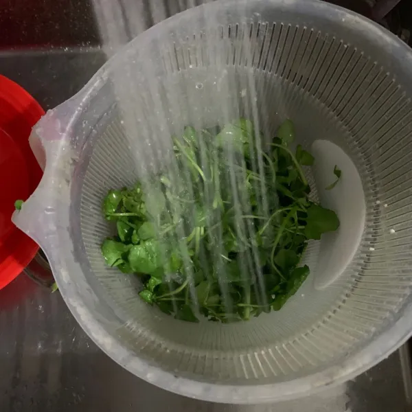 Resep Slada air rebus Sederhana Rumahan di Yummy App