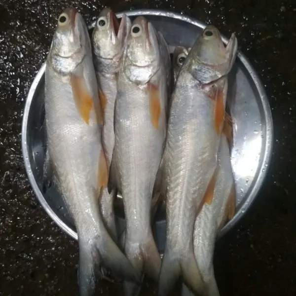 Resep Ikan Laosan Bumbu Kemiri Sederhana Rumahan Di Yummy App