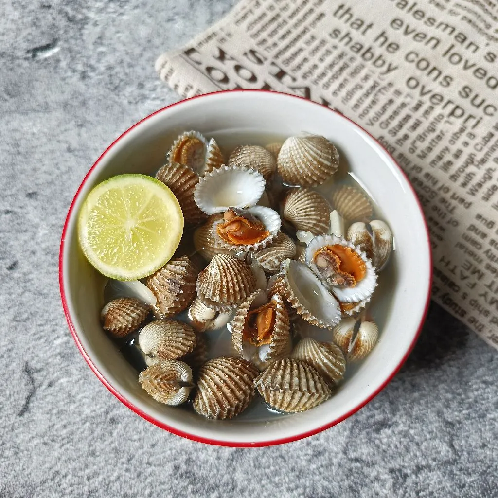 Resep Kerang Dara Rebus Sederhana Rumahan di Yummy App Resep Kerang Dara Rebus Sederhana Rumahan di Yummy App