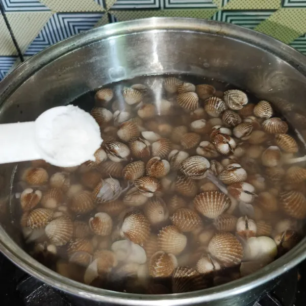 Resep Kerang Dara Rebus Sederhana Rumahan di Yummy App Resep Kerang Dara Rebus Sederhana Rumahan di Yummy App