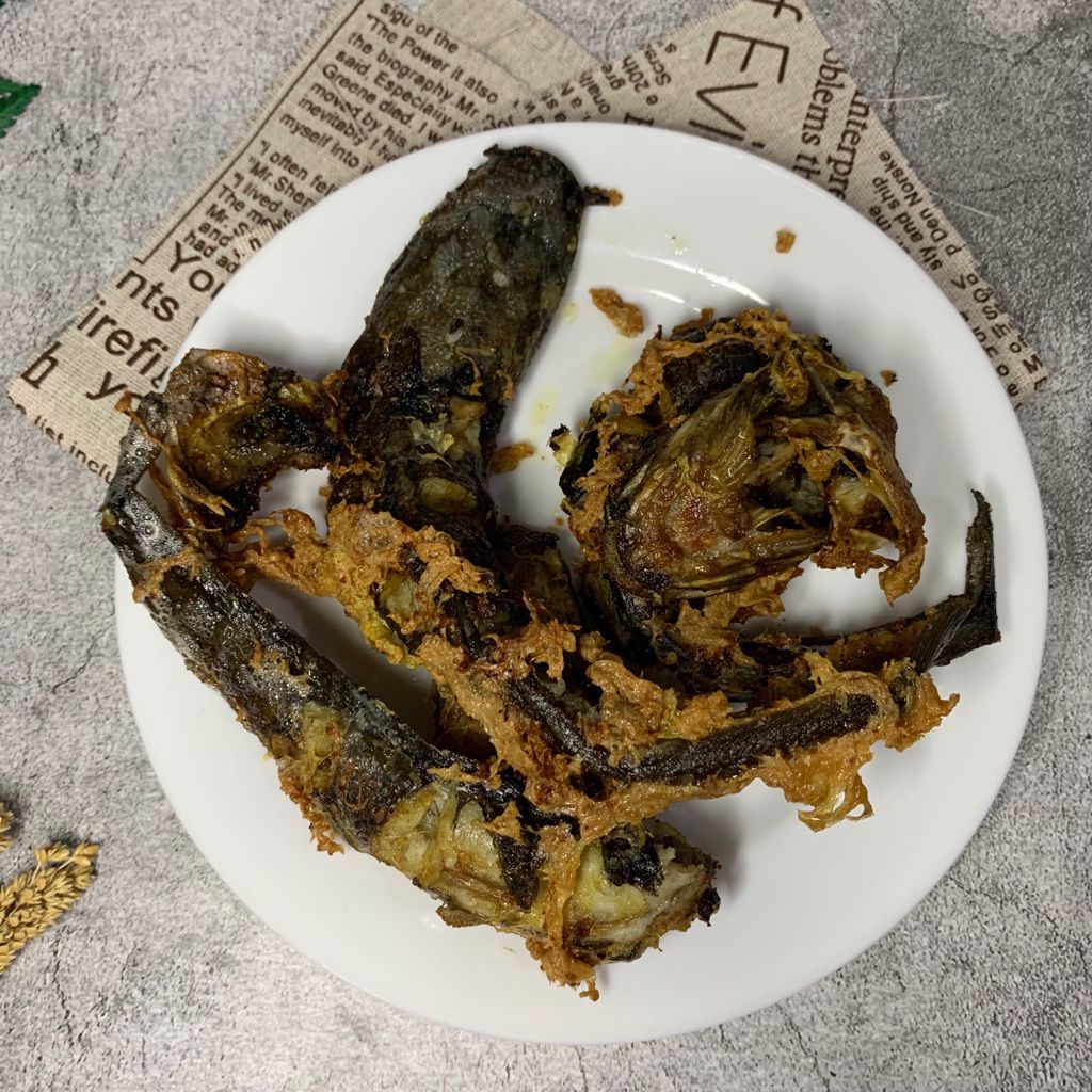 Resep Lele goreng balur telur Sederhana Rumahan di Yummy App