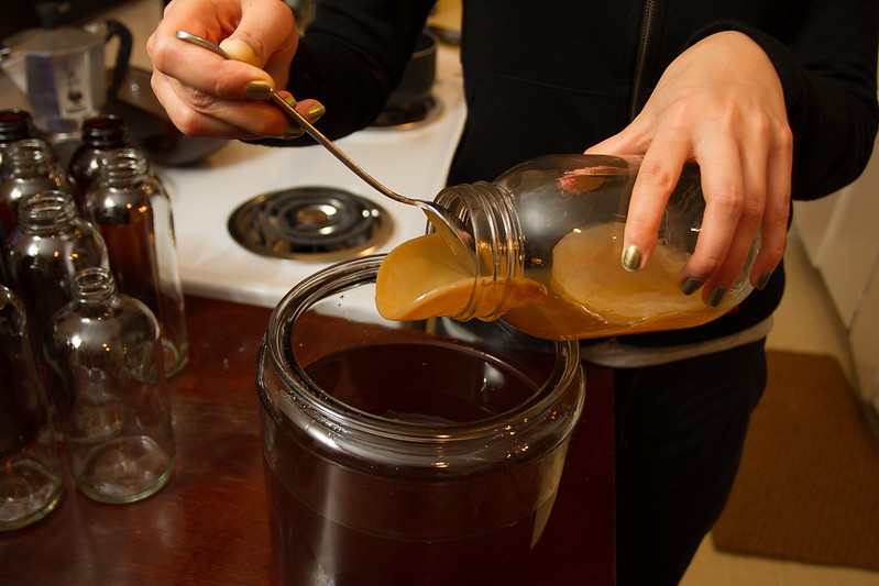 Scoby Kombucha: Pengertian hingga Cara Membuat