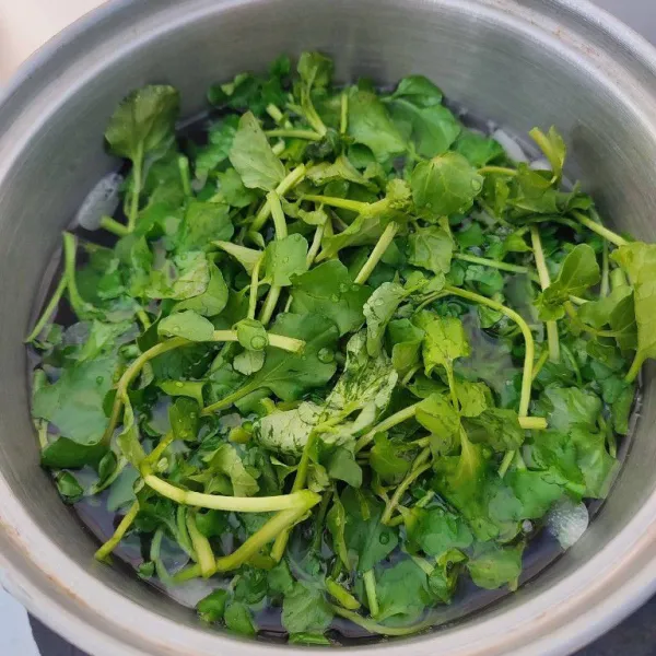 Resep Bening Selada Bakso Sederhana Rumahan di Yummy App