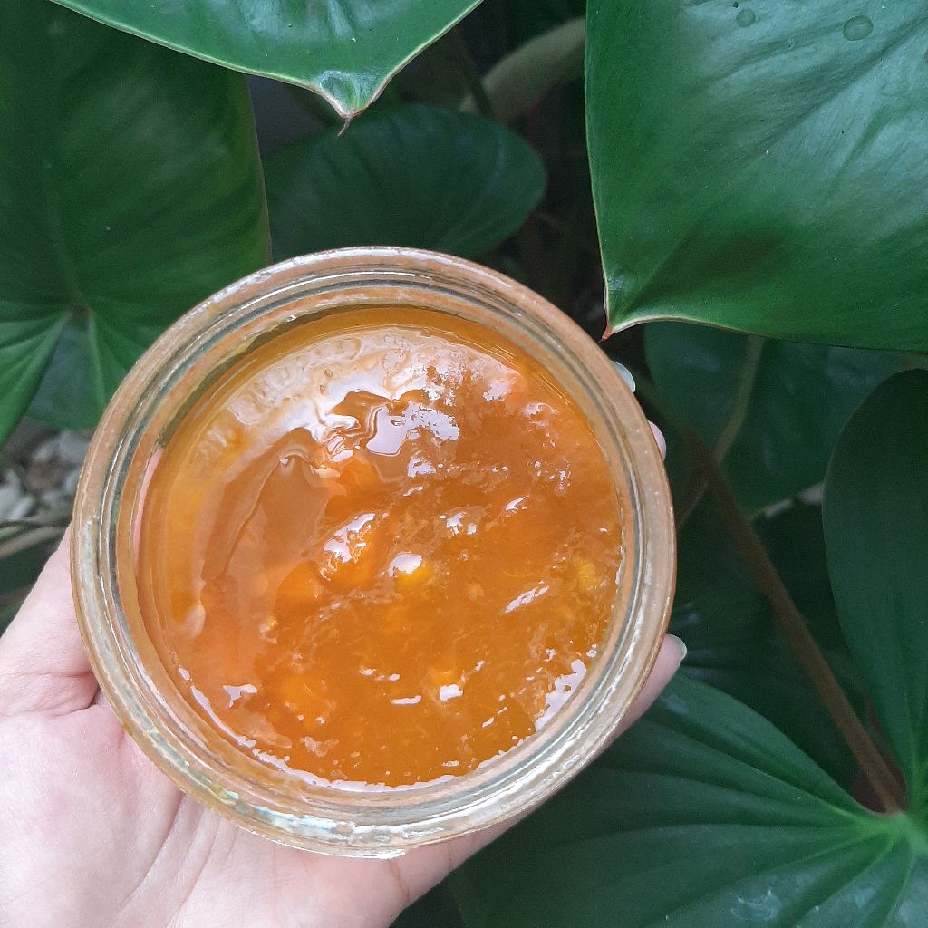 Resep Mango Jam (Selai Mangga) Sederhana Rumahan di Yummy App