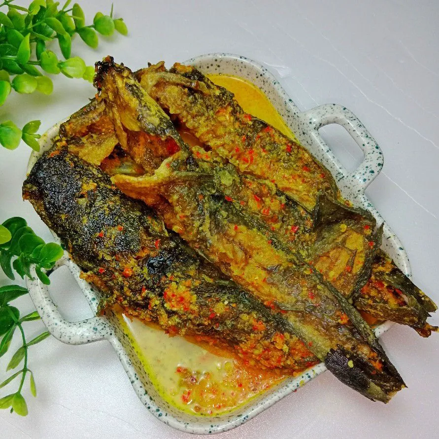 Resep Lele Santan Pedas Kurceppejuangresepnusantara Sederhana Rumahan