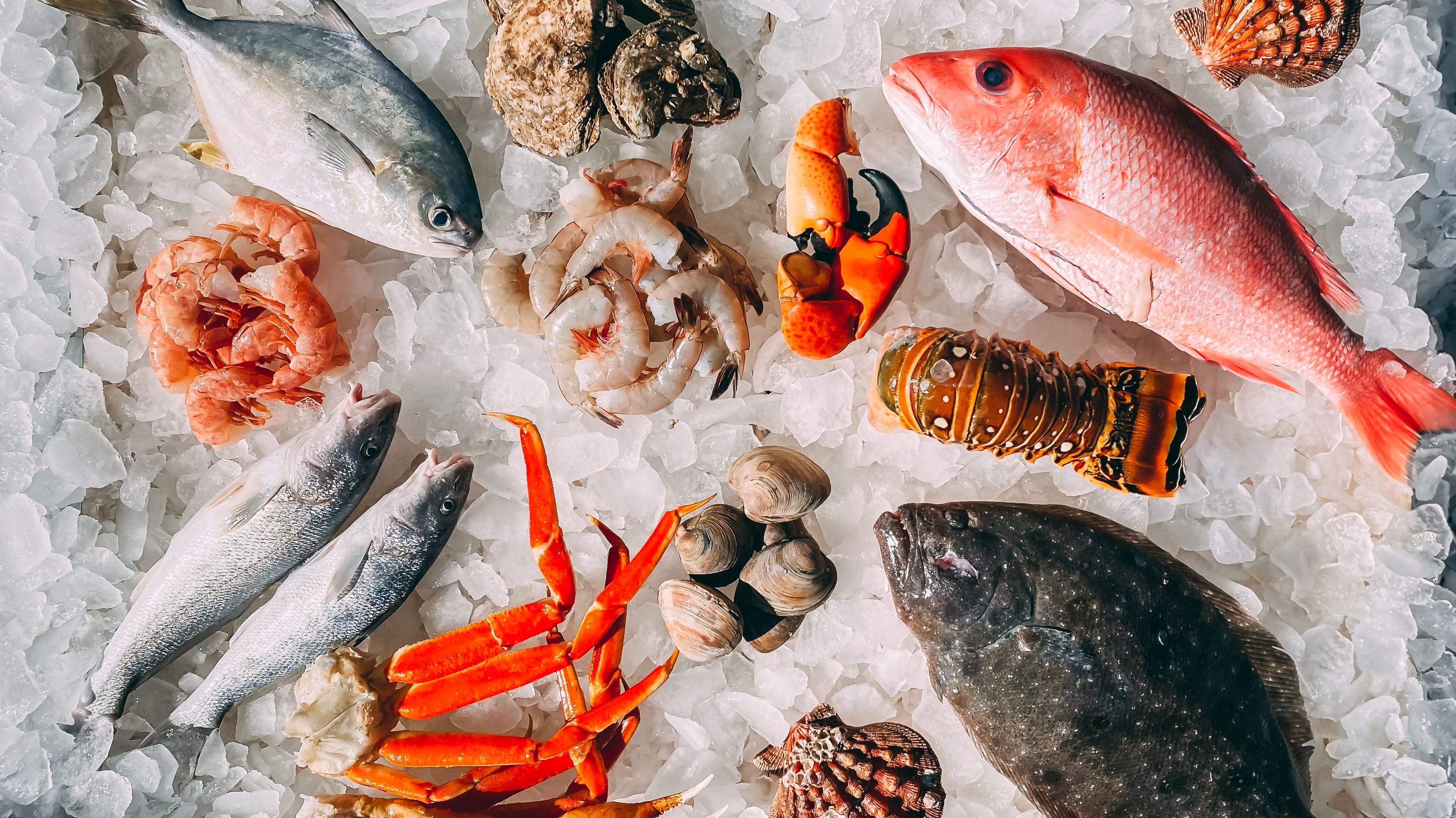 8 Makanan Pereda Nyeri Haid, Redakan Nyeri Keram Perut