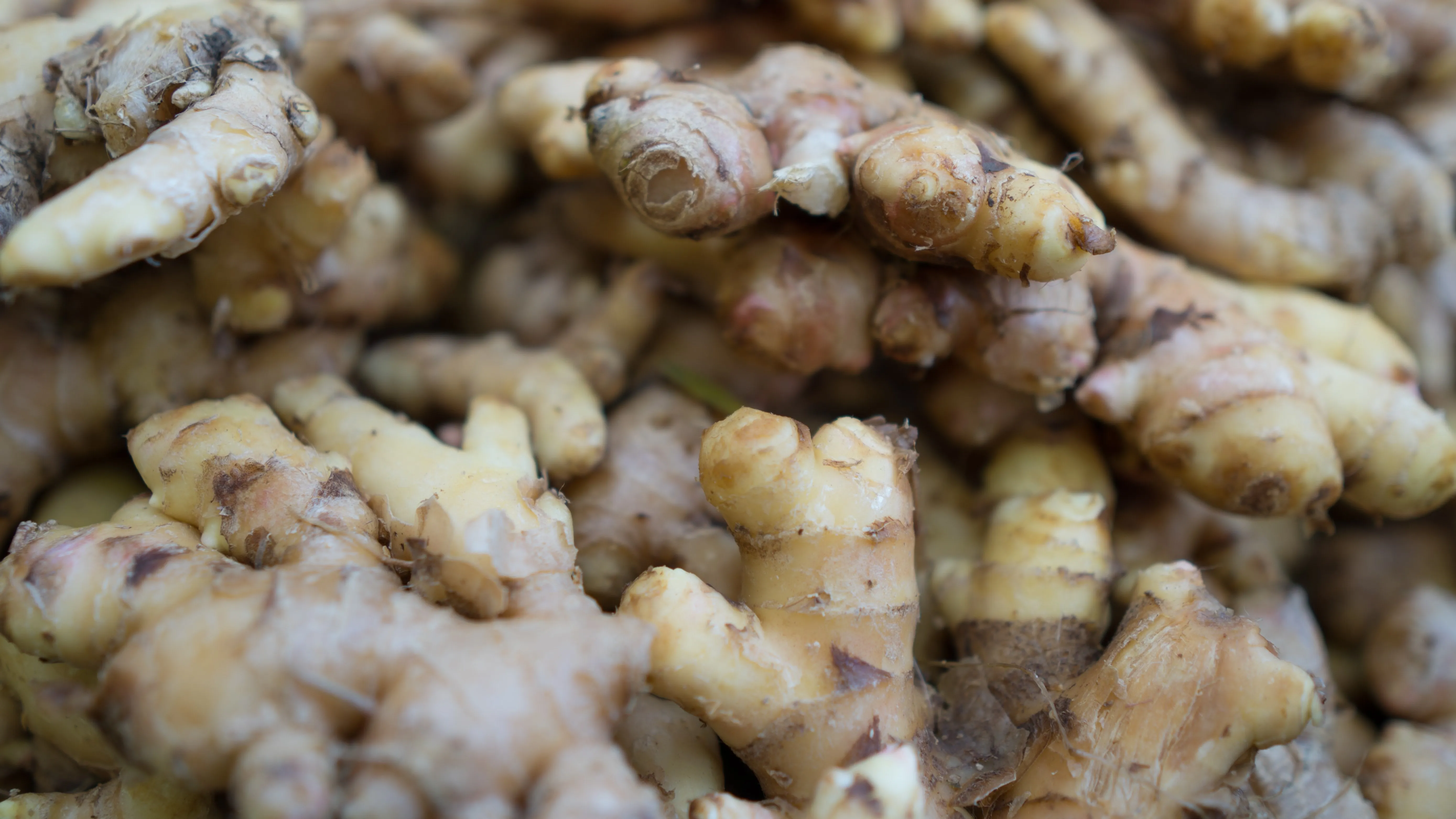 8 Makanan Pereda Nyeri Haid, Redakan Nyeri Keram Perut 8 Makanan Pereda Nyeri Haid, Redakan Nyeri Keram Perut