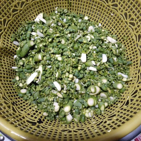 Resep Oseng Kroto Melinjo Sederhana Rumahan di Yummy App