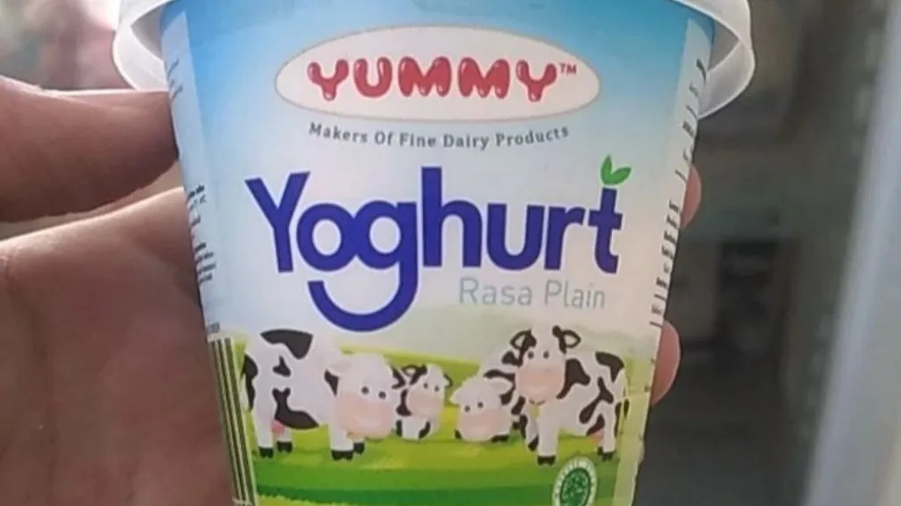 8 Rekomendasi Yogurt untuk Salad Buah yang Enak 8 Rekomendasi Yogurt untuk Salad Buah yang Enak