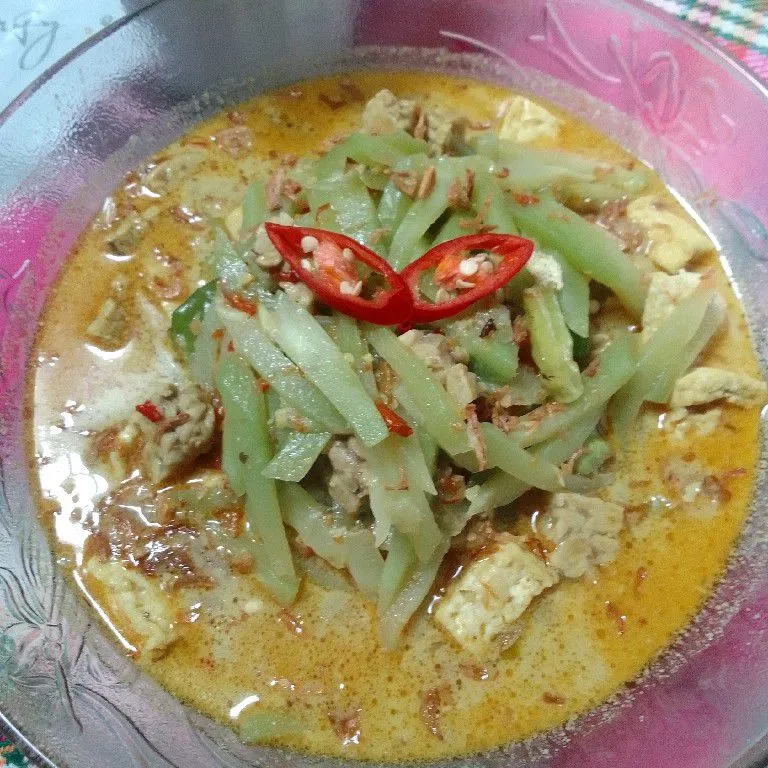 Resep Lodeh Labu Siam Tahu Tempe Sederhana Rumahan di Yummy App