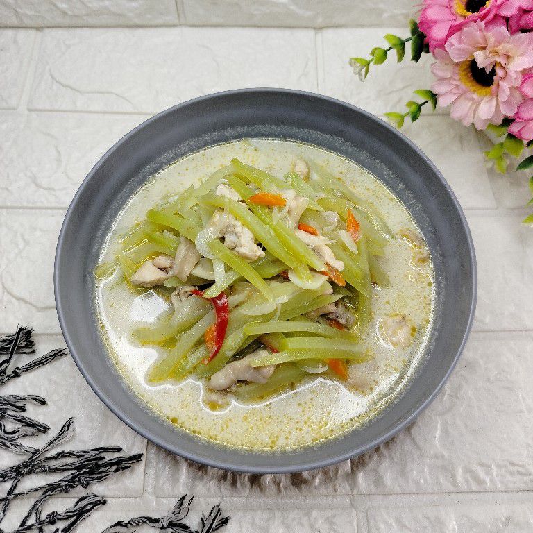 Resep Lodeh Putih Ayam Labu Siam Sederhana Rumahan di Yummy App