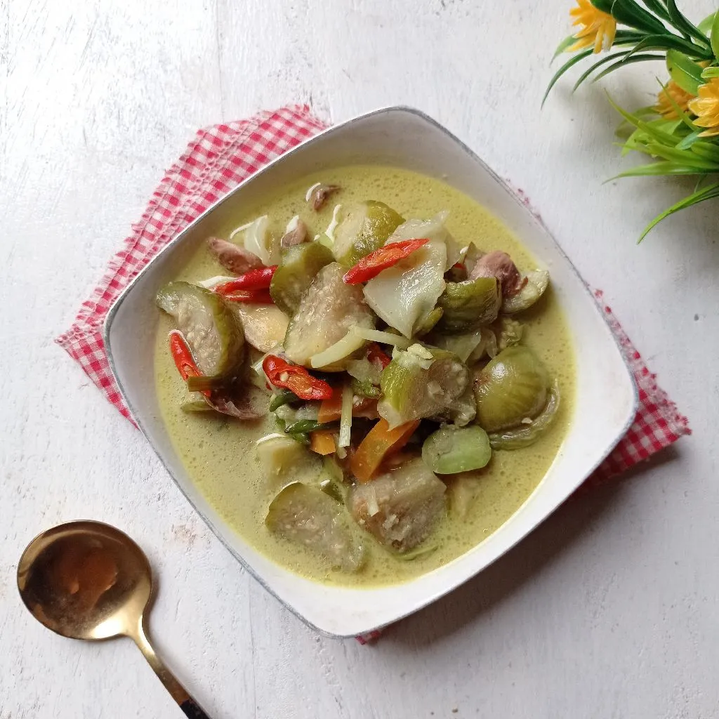 Resep Sayur Santan Terong Bulat Sederhana Rumahan di Yummy App