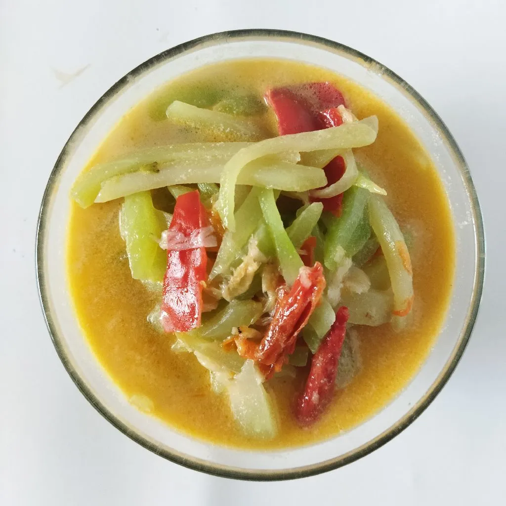 Resep Labu Siam Masak Santan Sederhana Rumahan di Yummy App