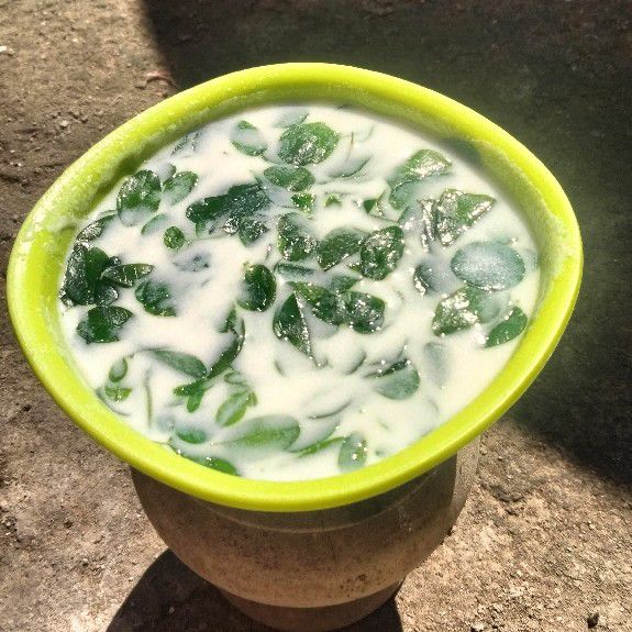 Resep Uta Kelo ( Sayur Kelor Khas Palu) Sederhana Rumahan di Yummy App